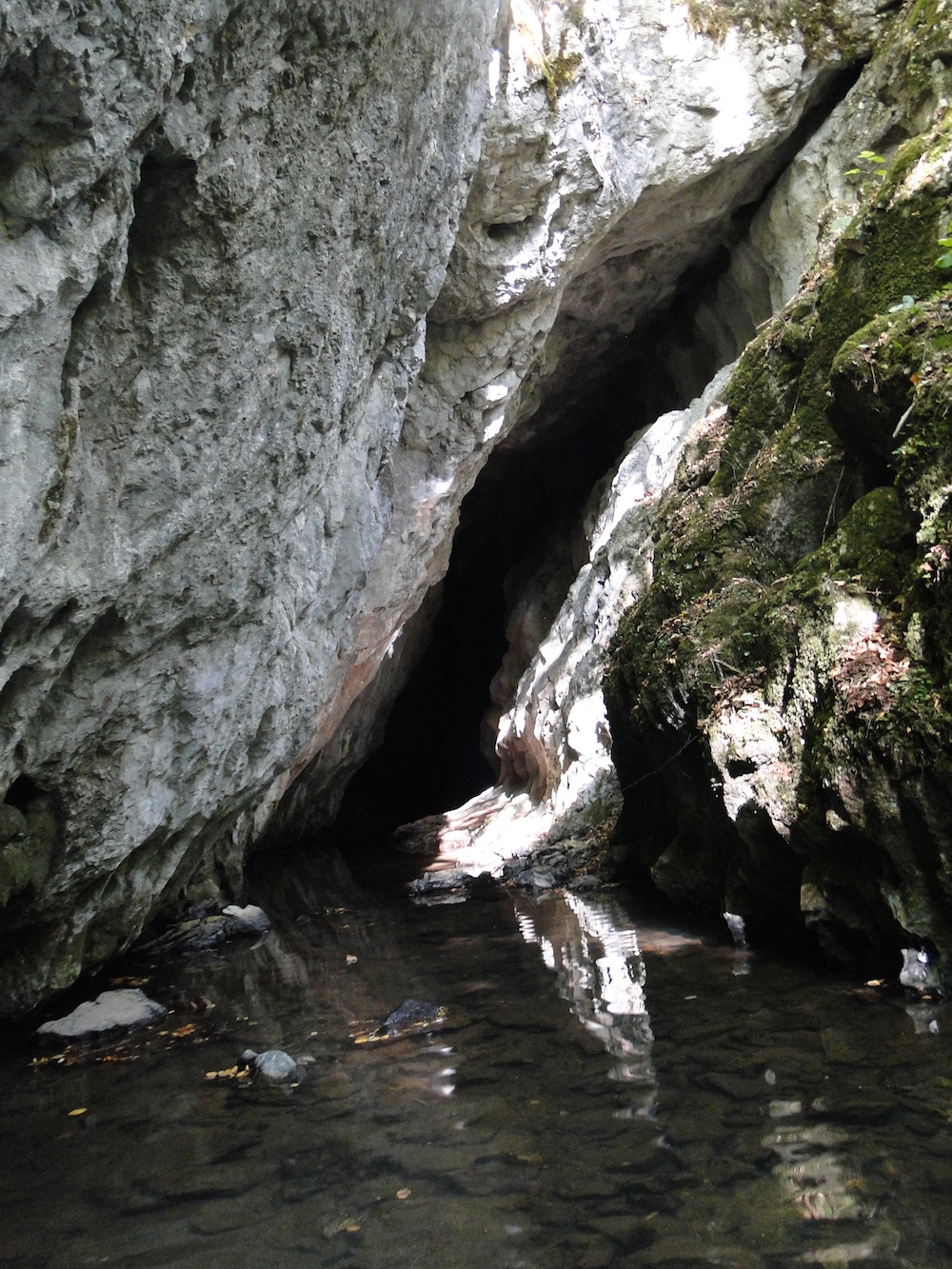 Sistemul Plopa - Ponor | Speologie Romania