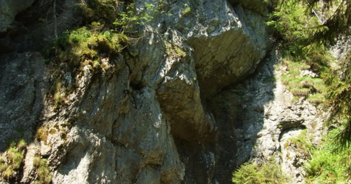 Sistemul Zăpodie - Peștera Neagră | Speologie Romania