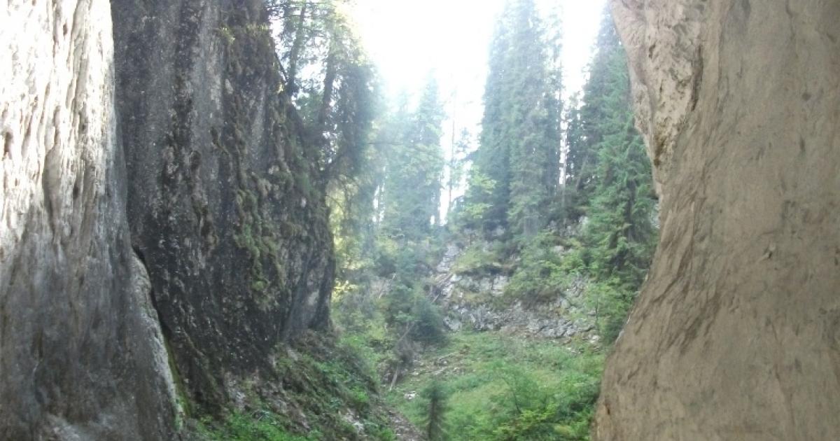 Cetățile Rădesei | Speologie Romania