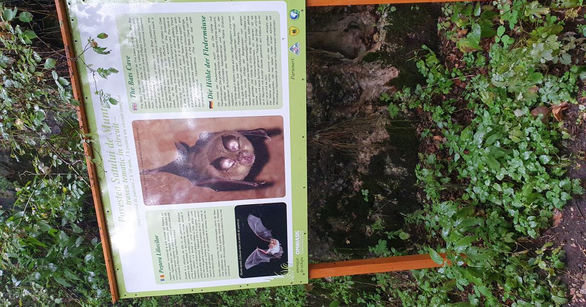 Peştera Mare din Satul Peştera (Peştera Liliecilor) | Speologie Romania