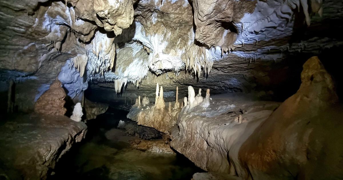 Peştera Poleva | Speologie Romania