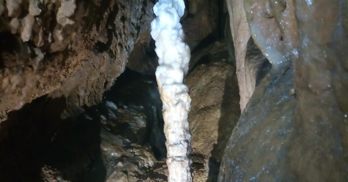 Avenul Constanța | Speologie Romania