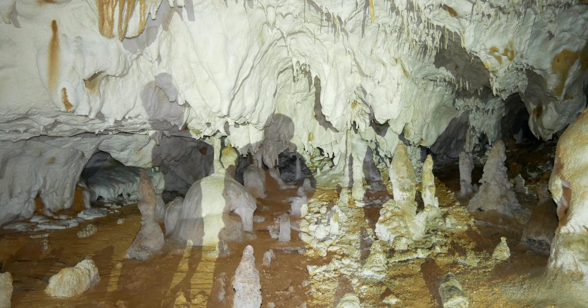 Sistemul Humpleu | Speologie Romania