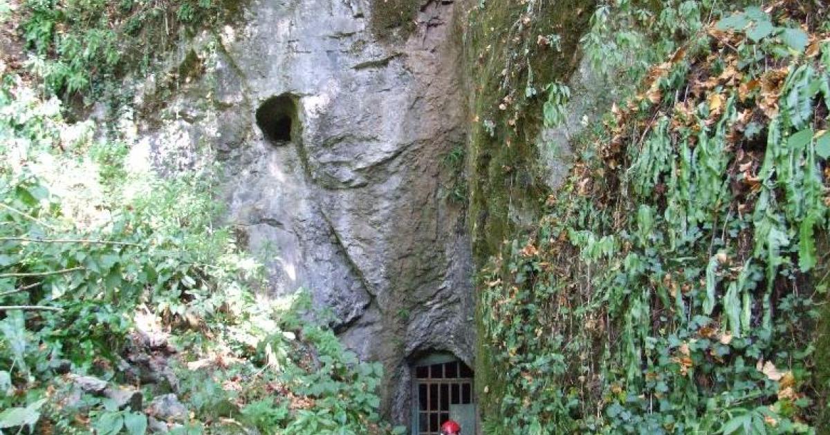 Peştera lui Micula | Speologie Romania