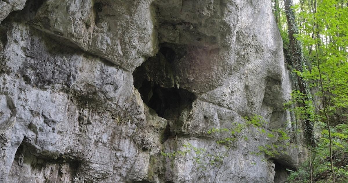 Pestera nr.1 de la Stanul Cerbului | Speologie Romania