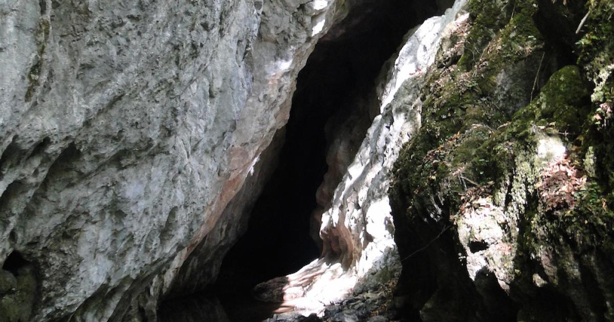 Sistemul Plopa - Ponor | Speologie Romania